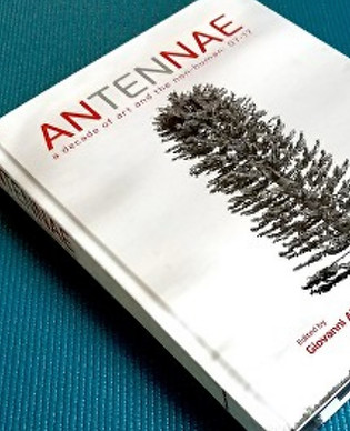 Current Issue | Antennae